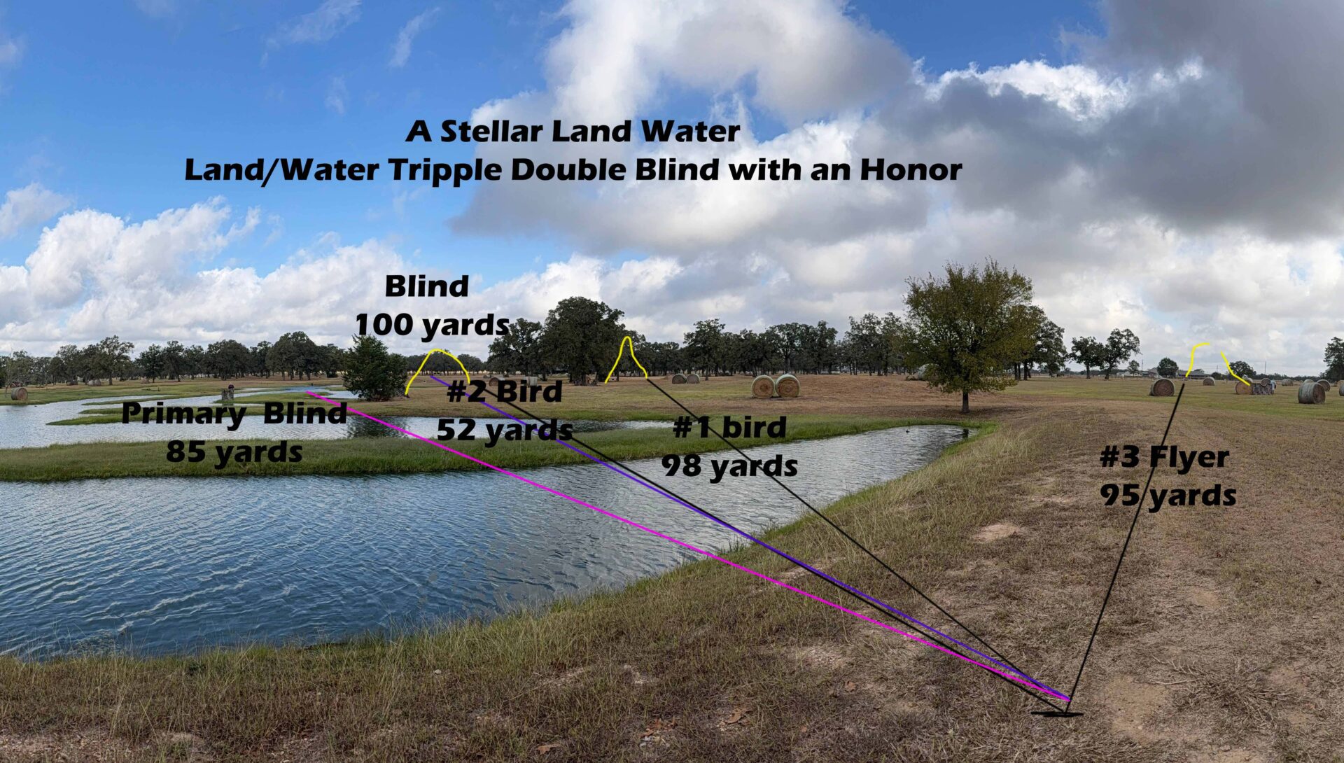 Stellar Land Water - Master National Retriever Club