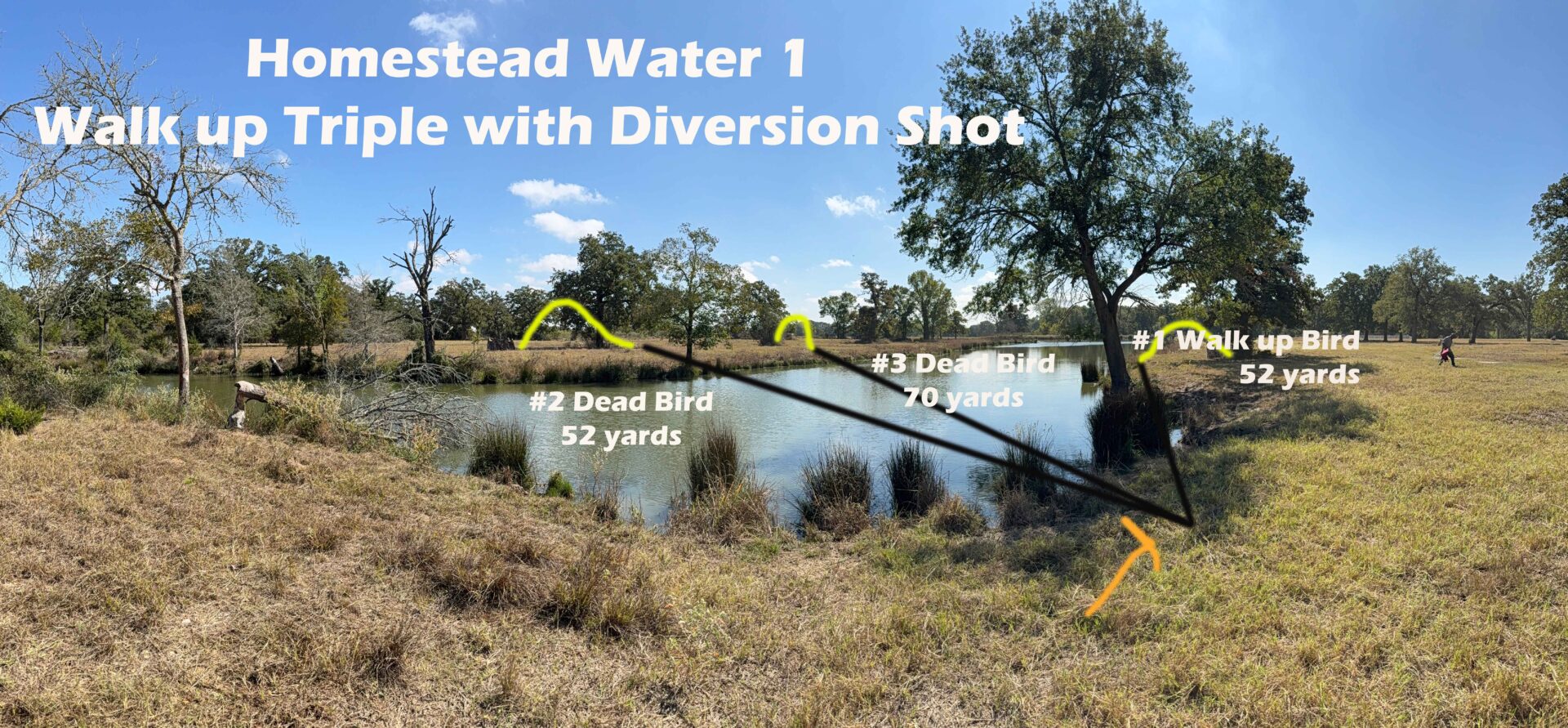 Homestead 1 Water - Master National Retriever Club