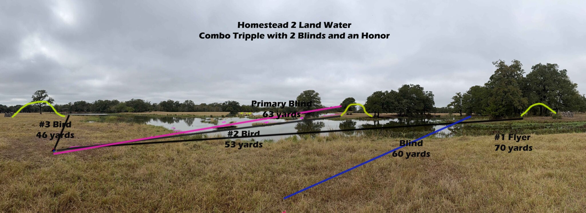 Homestead 2 Land Water - Master National Retriever Club