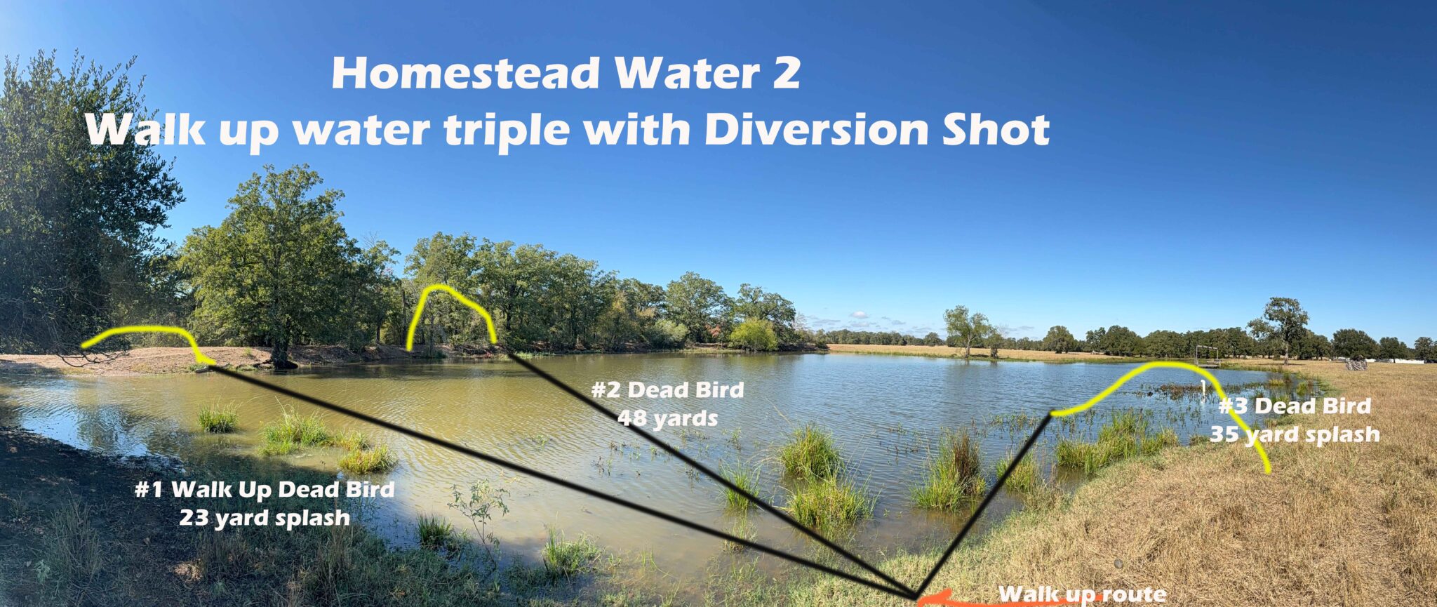 Homestead Water 2 - Master National Retriever Club