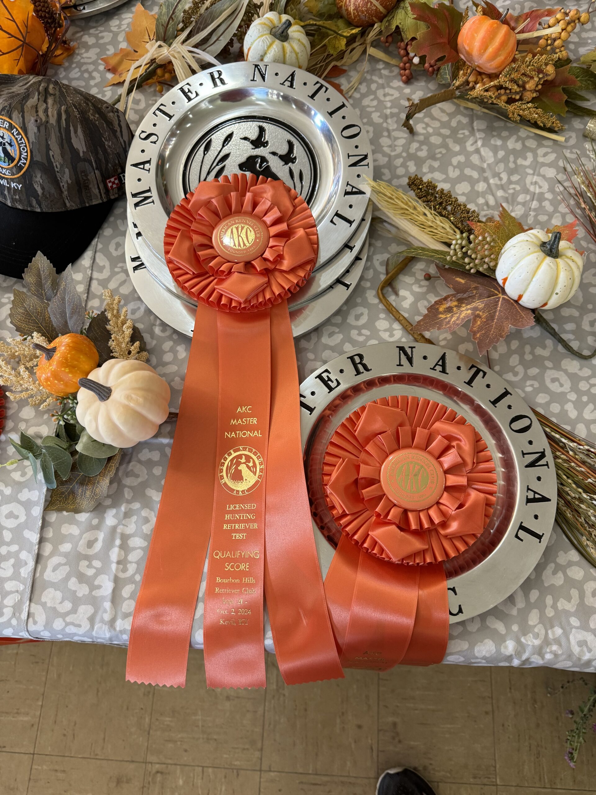 2024 Master National Photo 3 - Master National Retriever Club