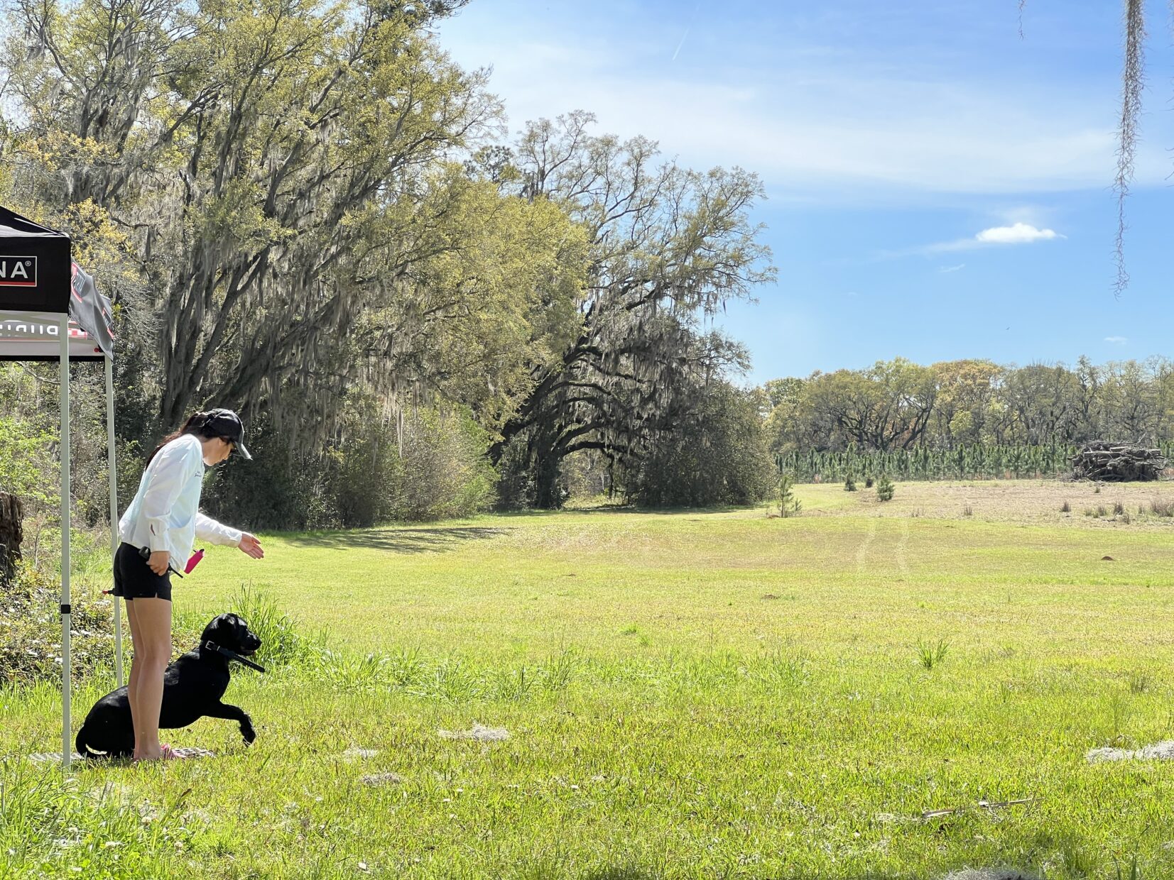 Thank you Purina Pro Plan - Master National Retriever Club