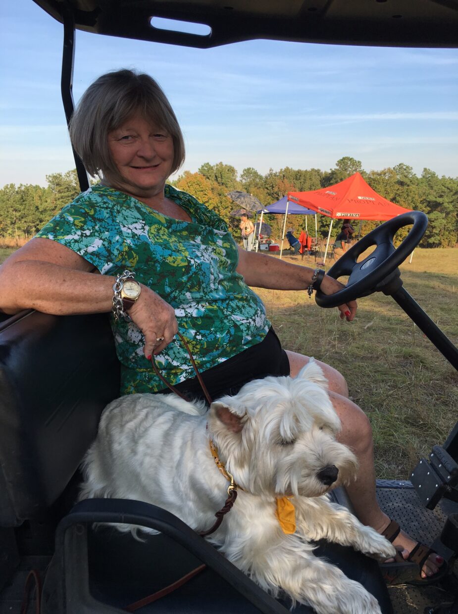 2015 Master National Retriever License Plates - Master National ...