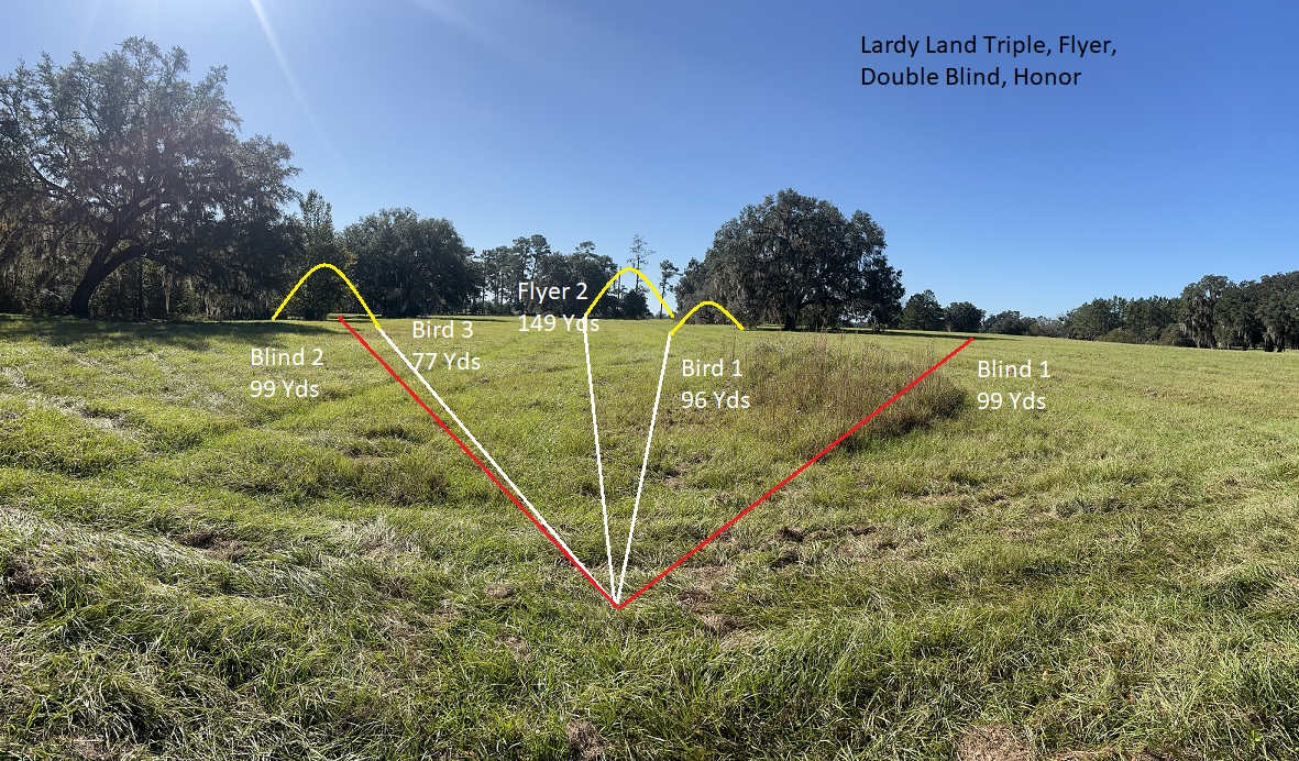 Diagram: Lardy Land, Land/Water/Water - Master National Retriever Club