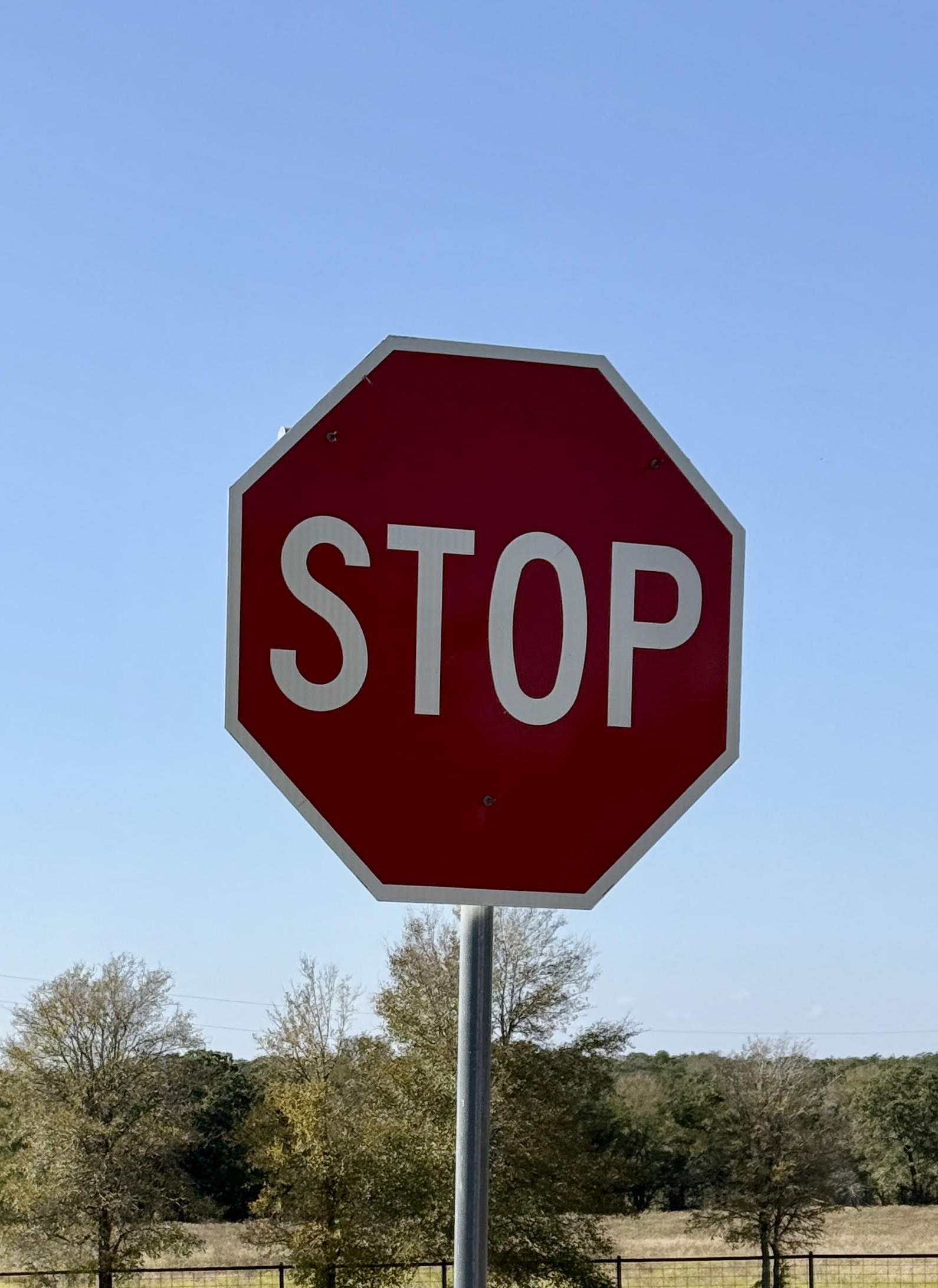 Drivers Beware - Master National Retriever Club