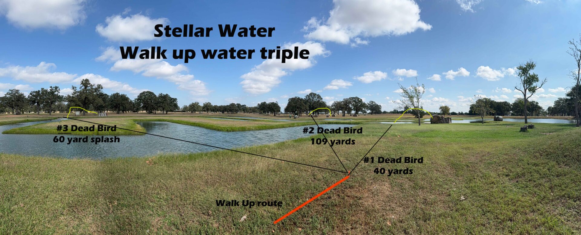 Stellar Water - Master National Retriever Club