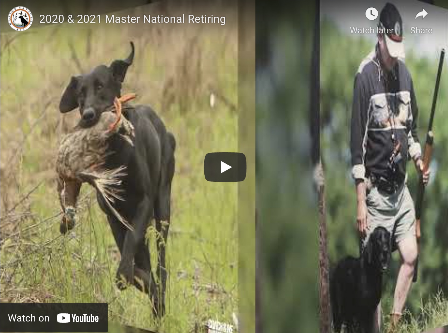 National Master Videos - 2020 - Master National Retriever Club